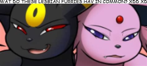 Wat Do These Lesbian Furries Hav In Common Xdd Xd Ifunny