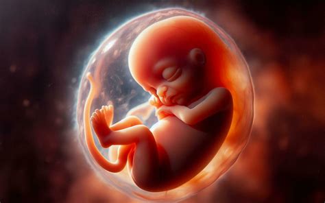 Ai Generated Fetus In The Womb Of The Mother In The Uterine Sac 3