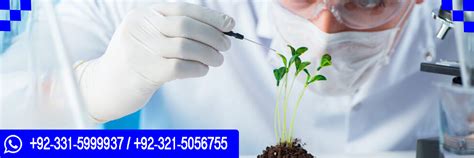 Ictqual Level 4 Diploma In Biotechnology Engineering 120 Credits One