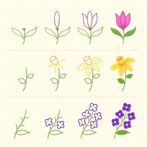Aprendemos A Dibujar Flores Materiales Educativos Para Maestras