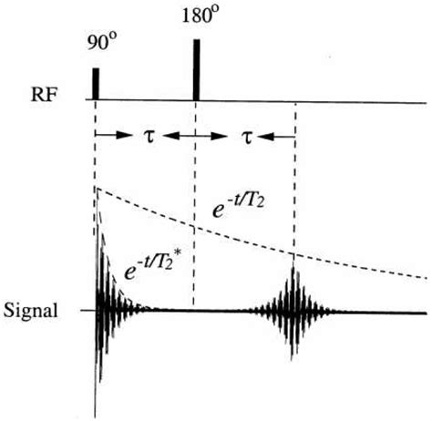 3 Time Diagram Of The Spin Echo Pulse Sequence And The Corresponding Download Scientific