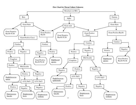 Microbiology Flow Chart Medical Laboratory Science
