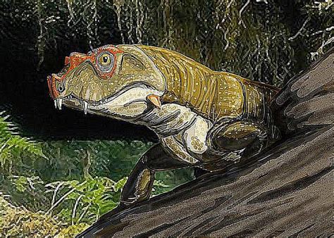 Pictures And Profiles Of Therapsids