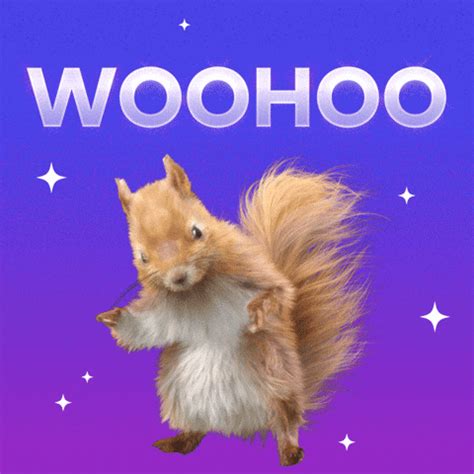 Woohoo Party Memes Woohoo Party Meme Tiktok