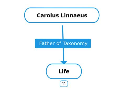 Life Mindomo Mind Map