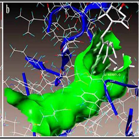 Docked View Of Compound Zeaxanthin At The Active Site Of The Enzyme