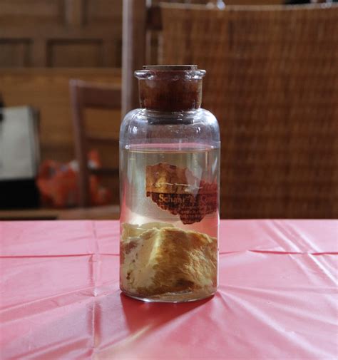 The Kentucky Meat Rain A Strange Tale And An Intriguingly Meaty