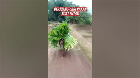 Detik Video Lucu😂 Janganlupaberbuatbaikhariini Youtube