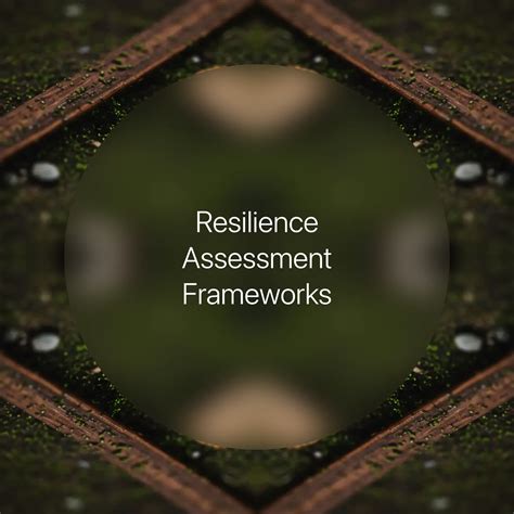 Resilience Assessment Frameworks → Term