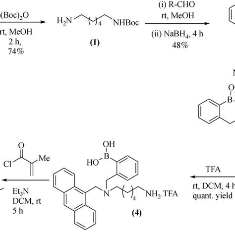 Scheme 1 Synthesis Of Boronic Acid Fluorescent Probes 3 And Am 5 Download Scientific Diagram
