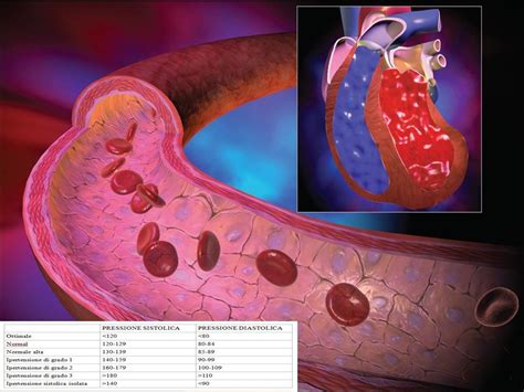 Revisione Sistematica Ipotensivi Cochrane Review And Vasopressors For
