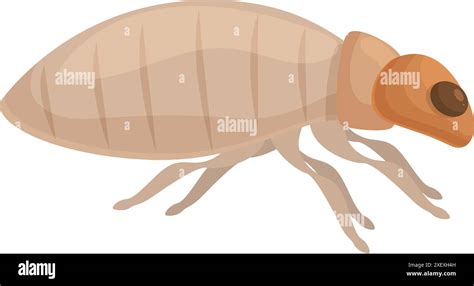 Bark Beetle Walking Side View Pest Control And Extermination Service Logo Stock Vector Image