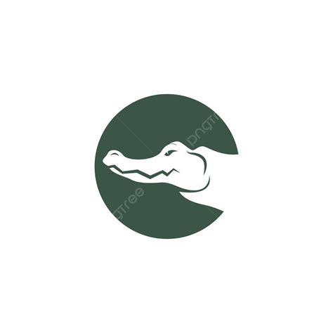 Crocodile Icon Logo Design Illustration Animal Design Symbol Vector