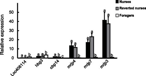 Figure 3 From A Comparison Of Digital Gene Expression Profiling And