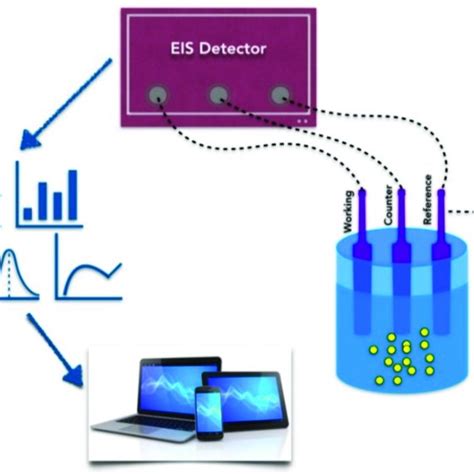 Schematic View Of A Biosensor Eis Electrochemical Impedance