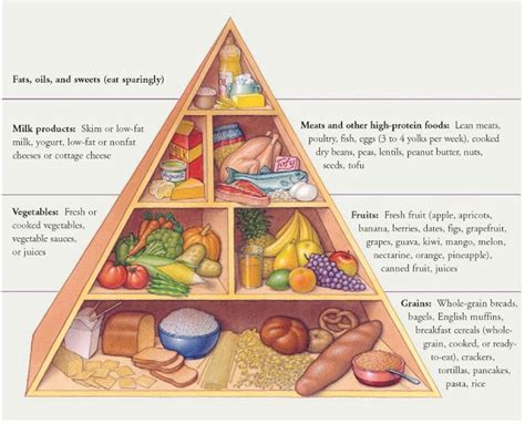 Healthy Eating Made Easy Understanding The Food Pyramid — Find My Fruits