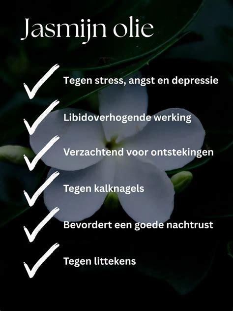 Jasmijn Olie 10ml 100 Natuurlijk Bali Essentials