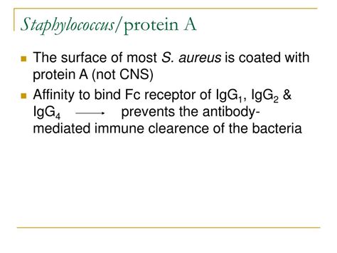 Ppt Staphylococcus Streptococcus Enterococcus Powerpoint Presentation