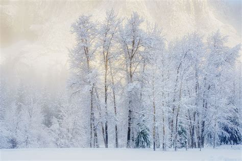 Meet Dan Baumbach Canvasrebel Magazine