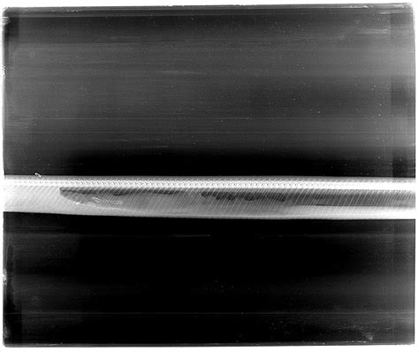 Invasion Of The Giant Pythons Photos Python Digesting An Alligator