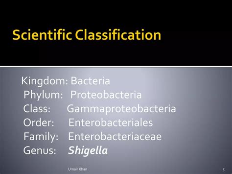 Shigella Pptx