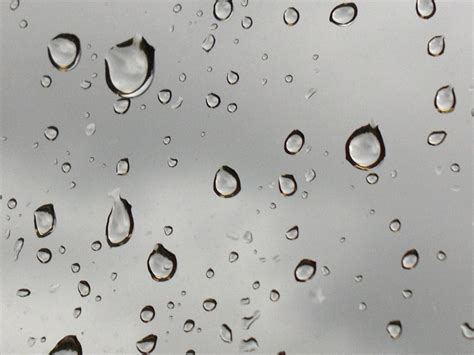 무료 이미지 물 하락 비 잎 창문 유리 빗방울 번호 젖은 선 날씨 원 세례반 1920x1440