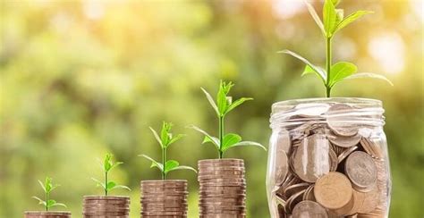 Fixed Vs Variable Annuities Understanding Your Investment Options
