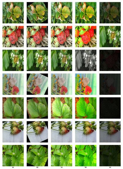 Sensors Free Full Text An Instance Segmentation Model For