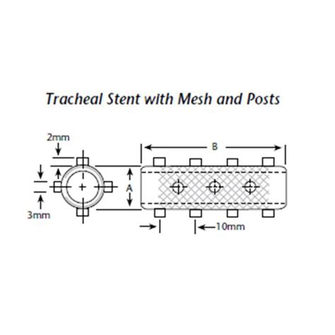Bronchial And Tracheal Stents With Mesh And Posts Hood Laboratories