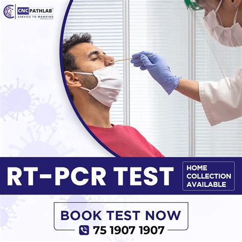 Lipid Profile Test In Delhi Lipid Profile Test Price Delhi Cncpath