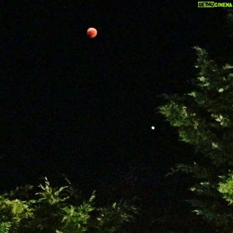 Alla Pugacheva Gethu Cinema