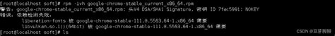 Centos离线安装chrome浏览器centos离线安装谷歌浏览器 Csdn博客