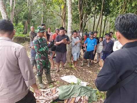 Terungkap, Ini Identitas Mayat Tanpa Kepala yang Ditemukan di Bungo