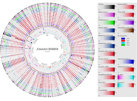 Genome Blast Atlas Of The A Butzleri Strain Rm4018 Arcobacter Download Scientific Diagram