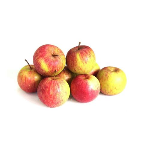 Jual Apel Anna Apel Anna Malang Fresh Shopee Indonesia