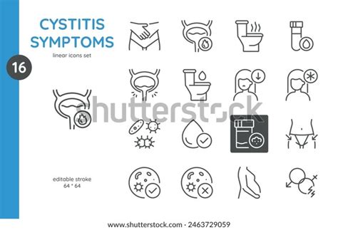 Cystitis Symptoms Icon Set Linear Icons Stock Vector Royalty Free 2463729059 Shutterstock