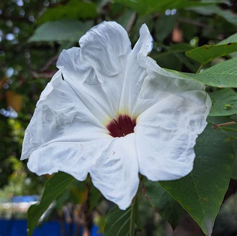 •peque Azucena• Así Se Siente Ser Libre Instagram