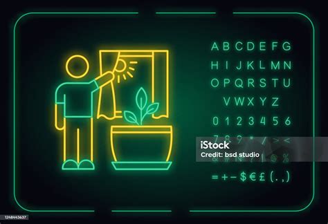 식물 네온 라이트 아이콘에 대한 햇빛을 제공합니다 실내 원예 자연 광에 식물을 노출 외부 빛나는 효과 알파벳 숫자 및 기호로 서명합니다 벡터 격리 Rgb 색상 그림 0명에