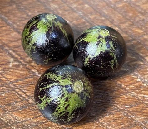 Plinia Sp Honey Syrup Jaboticaba Seeds
