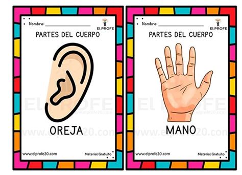 Partes Del Cuerpo Humano Fichas Para Enseñar A Identificarlas