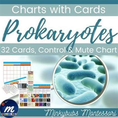 Prokaryotes Chart With Cards Domain Of Life Bacteria Archaea Montessori