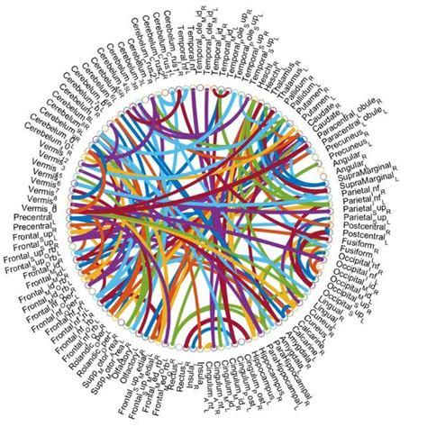 The Most Discriminative Connections Selected By T Test P Download