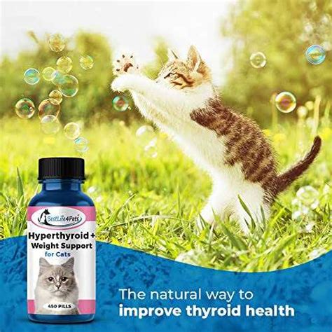 Bestlife4pets Cat Hyperthyroid Weight Gain Support Feline Thyroid