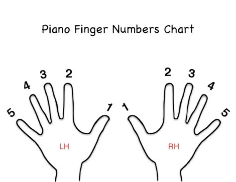 Piano Finger Numbers Chart Lh Rh Pdf