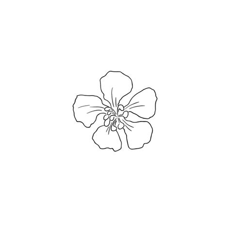 1 Deer Resistant Plants Stock Vectors And Vector Art Shutterstock