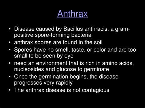 Ppt Ciprofloxacin Antibiotic For The Treatment Of Anthrax Powerpoint