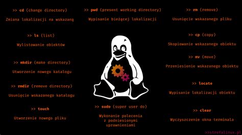 Podstawy Pracy Z Cli Command Line Interface Strefalinuxpl