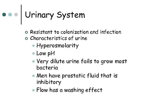 Urinary Tract Infections Mlab 2534 Microbiology Keri Brophy Martinez