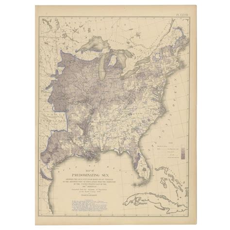 Pl 37 Antique Chart Of The Us Predominating Sex 1874 For Sale At 1stdibs