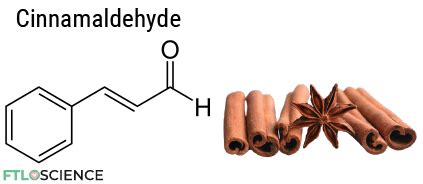 The Chemistry Of Pumpkin Spice Halloween Special Ftloscience